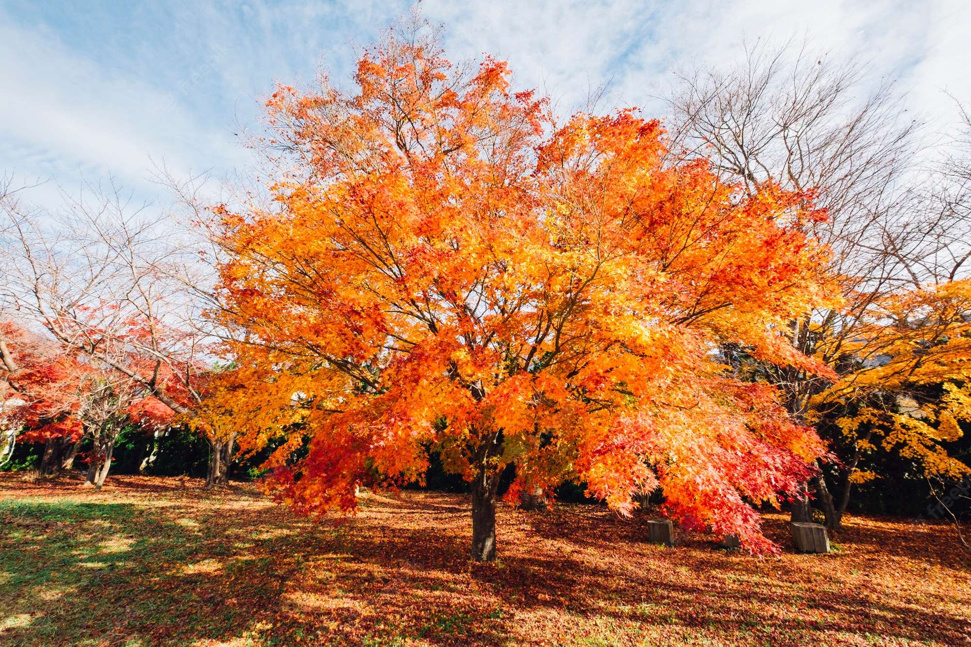 Autumn Guide To Moving To South Florida